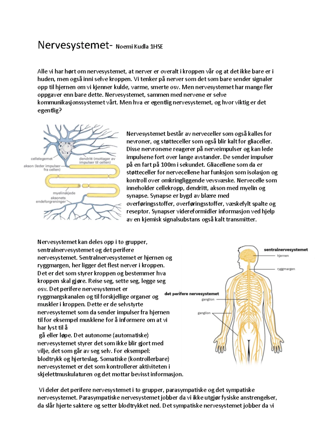 Smittekjeden: En Gjennomgang av Smitteoverføring og Forebygging - Studocu