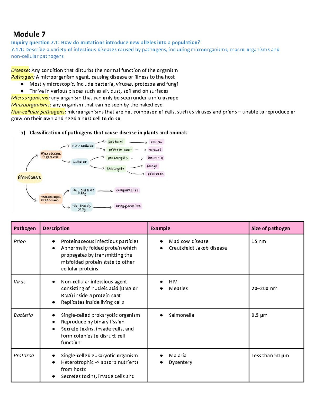 Biology 7 + 8: Comprehensive Notes on Infectious Diseases and Pathogens ...