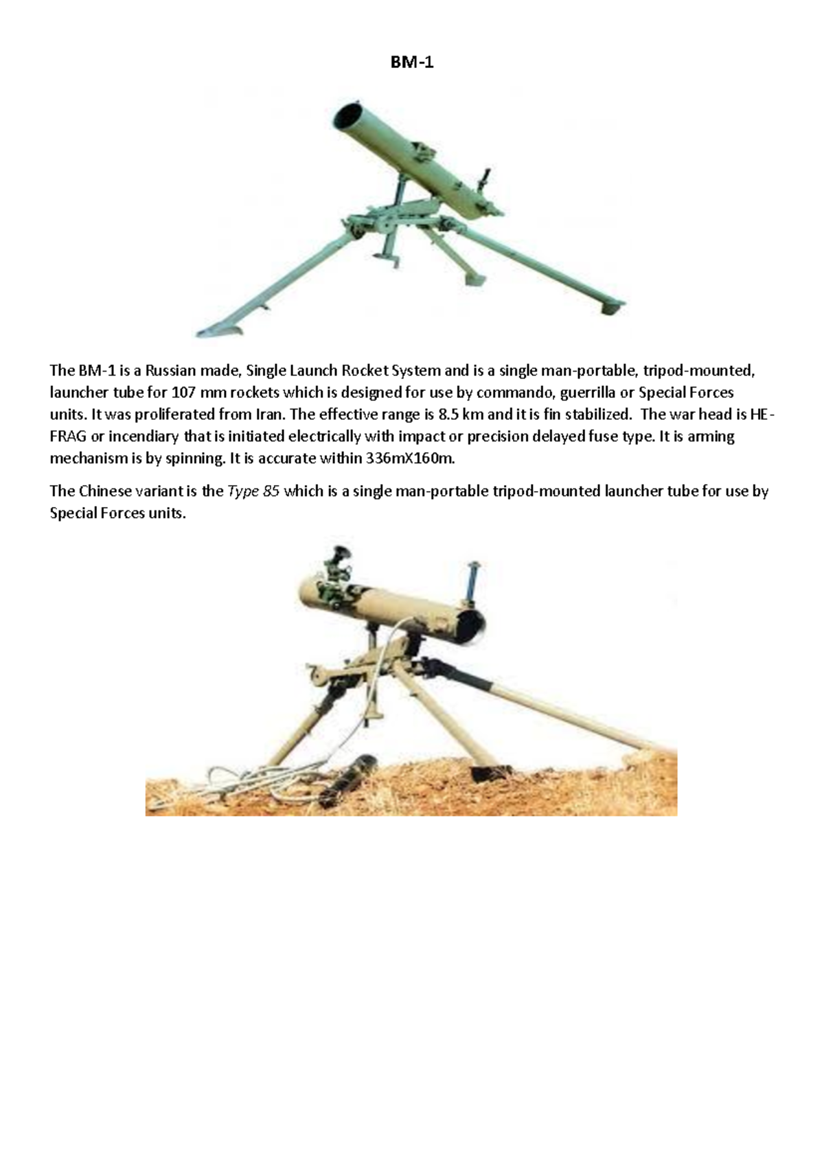 BM Weapons Overview: Detail on BM-1 and Type 63 Launchers - Studocu