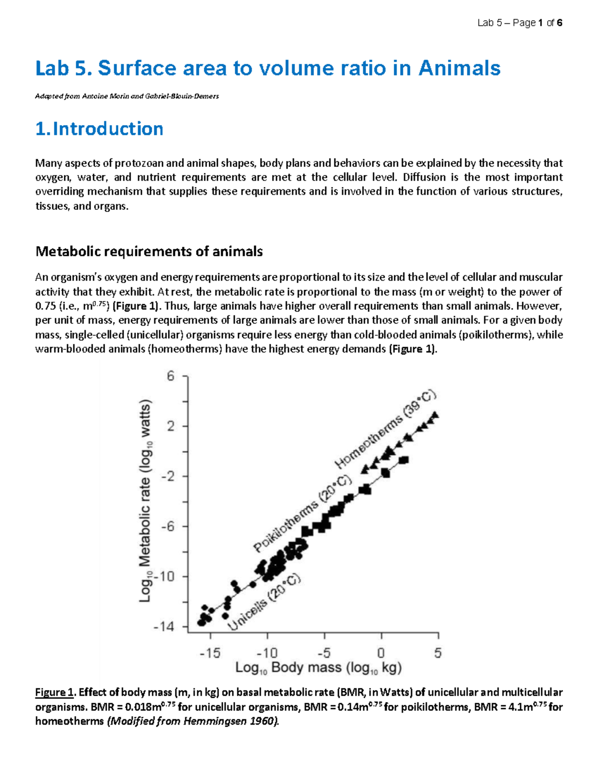 Lab 5: Surface Area to Volume Ratio in Animals - Studocu