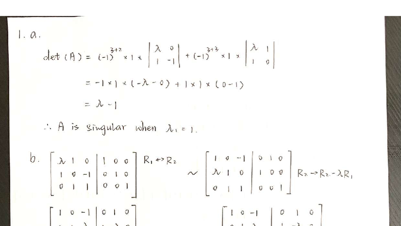 MAST10007 Assignment 2: Analysis of Singular Matrices and Inverses ...