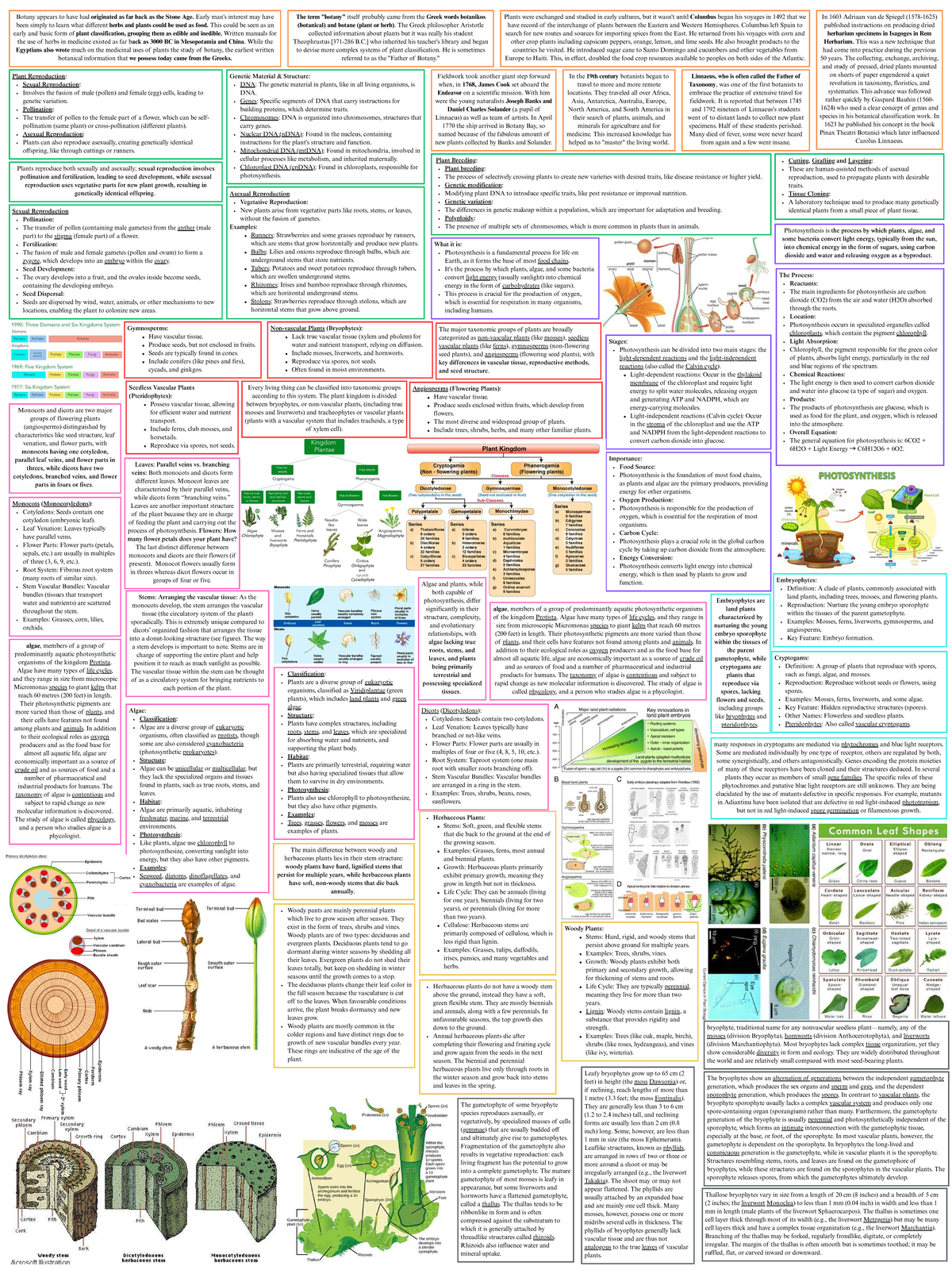Botany 101: Understanding Plant Reproduction and Classification - Studocu