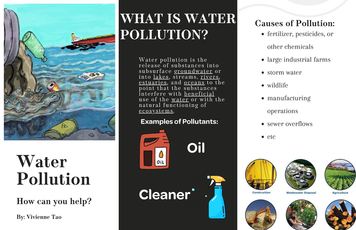 Water Pollution Brochure - Vivienne - Water pollution is the release of ...