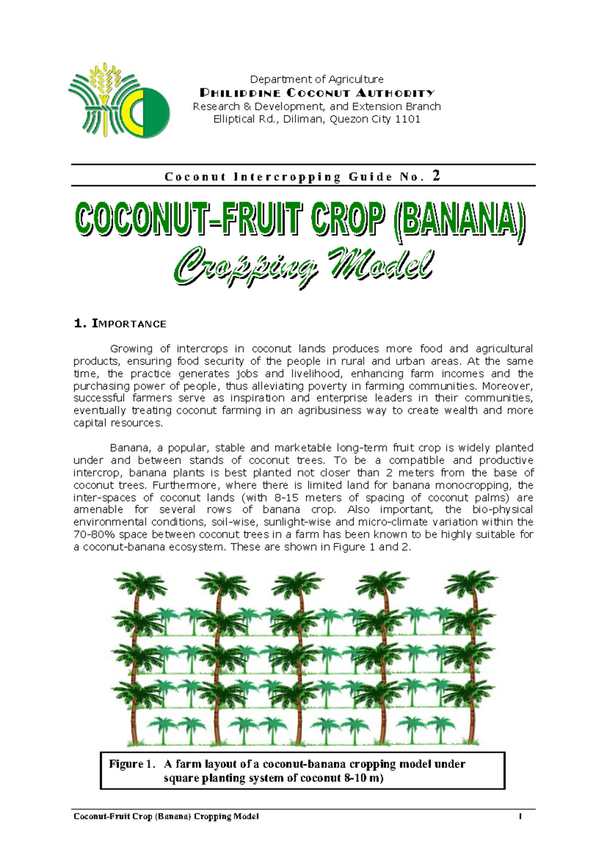 Coconut-Banana Cropping Model Guide (PCA RDEB) for Philippine Farmers ...
