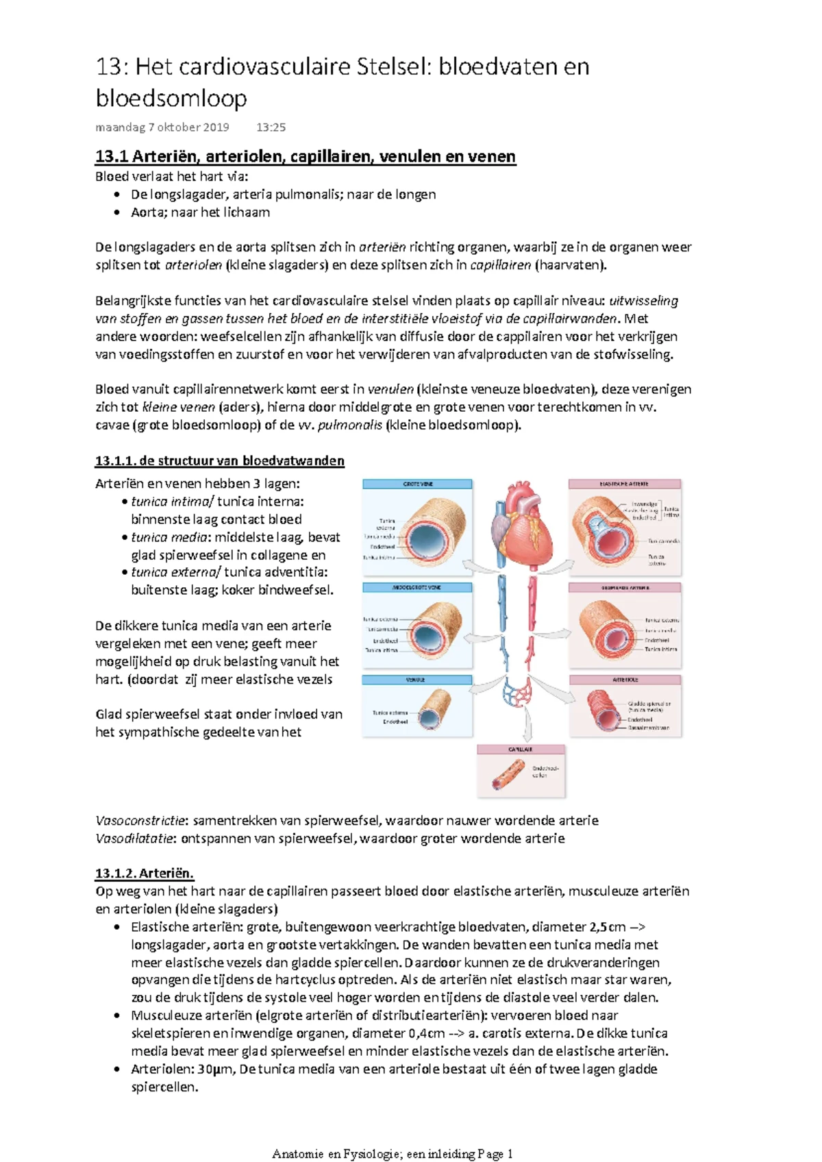 Tand anatomie - TANDANATOMIE Binnen de tandheelkunde spreken wij een ...