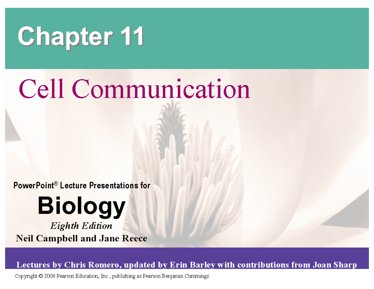 Chapter 11 - chap 11 - Copyright © 2008 Pearson Education, Inc ...