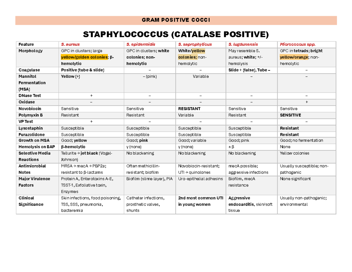 Differential Table for Gram Positive Cocci & Bacilli (Chaps 13-18 ...