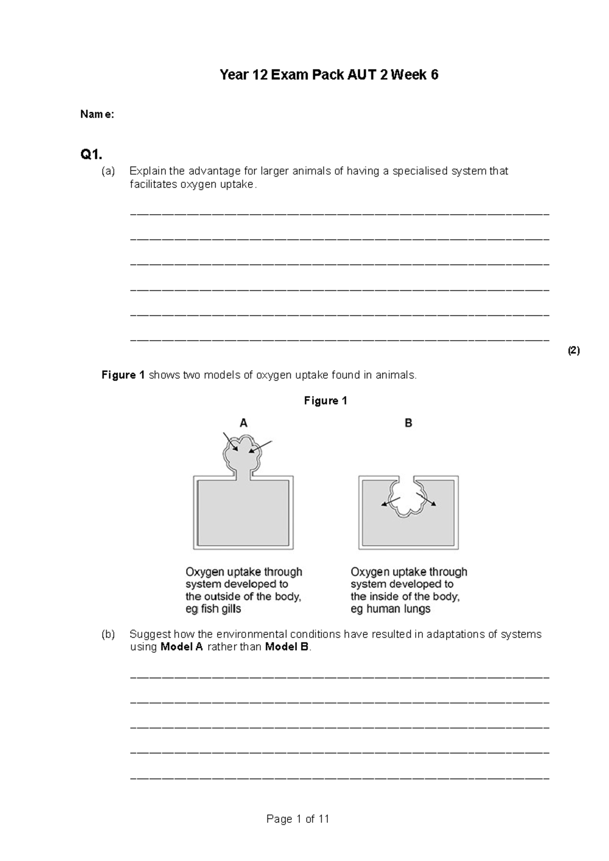 Year 12 Exam Pack AUT 2 Week 6: Gas Exchange & Adaptations - Studocu
