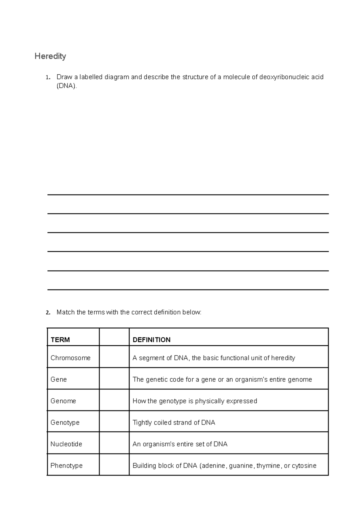 Heredity - DNA Structure and Terminology Worksheet - Studocu