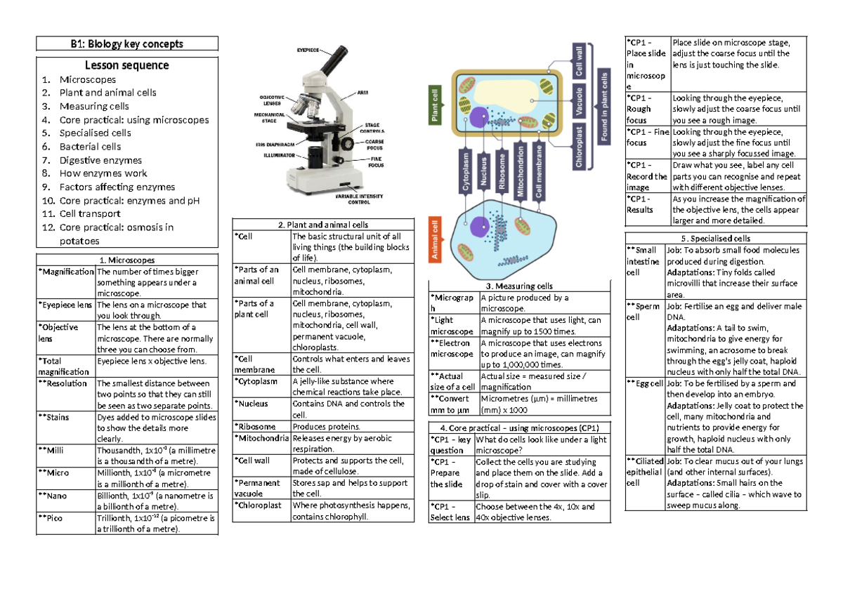 B1 - Essential Lesson Notes on Key Concepts in Biology - Studocu