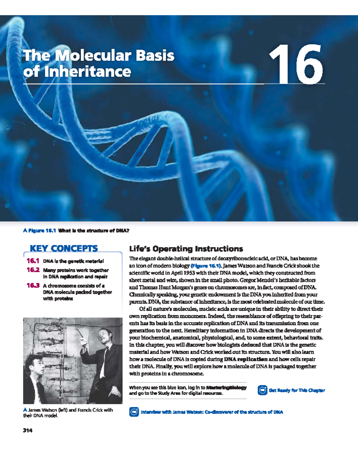 DNA Structure and Function: Key Concepts from Chapter 16 (BIO 101 ...
