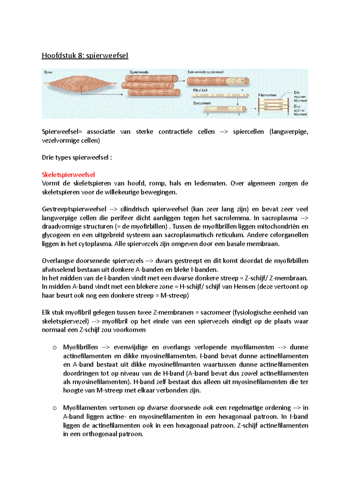 Hoofdstuk 8 Samenvatting: Spierweefsel en Myofibrillen Structuur - Studocu