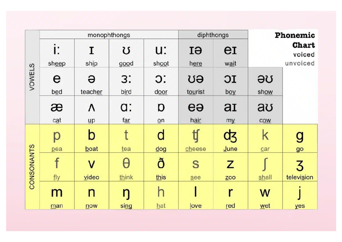 IPA Vowel and Consonant Chart for Phonemic Analysis - Studocu