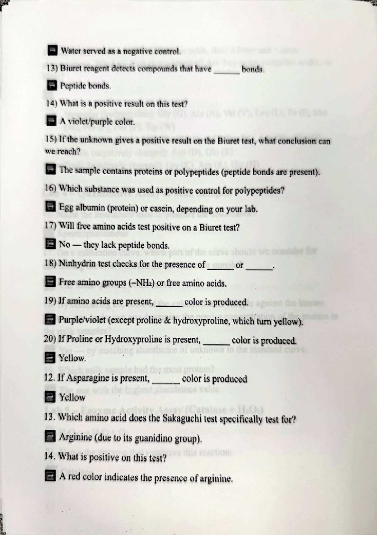 Biochemical Tests for Proteins and Amino Acids: Lab Guide (BIOL 101 ...
