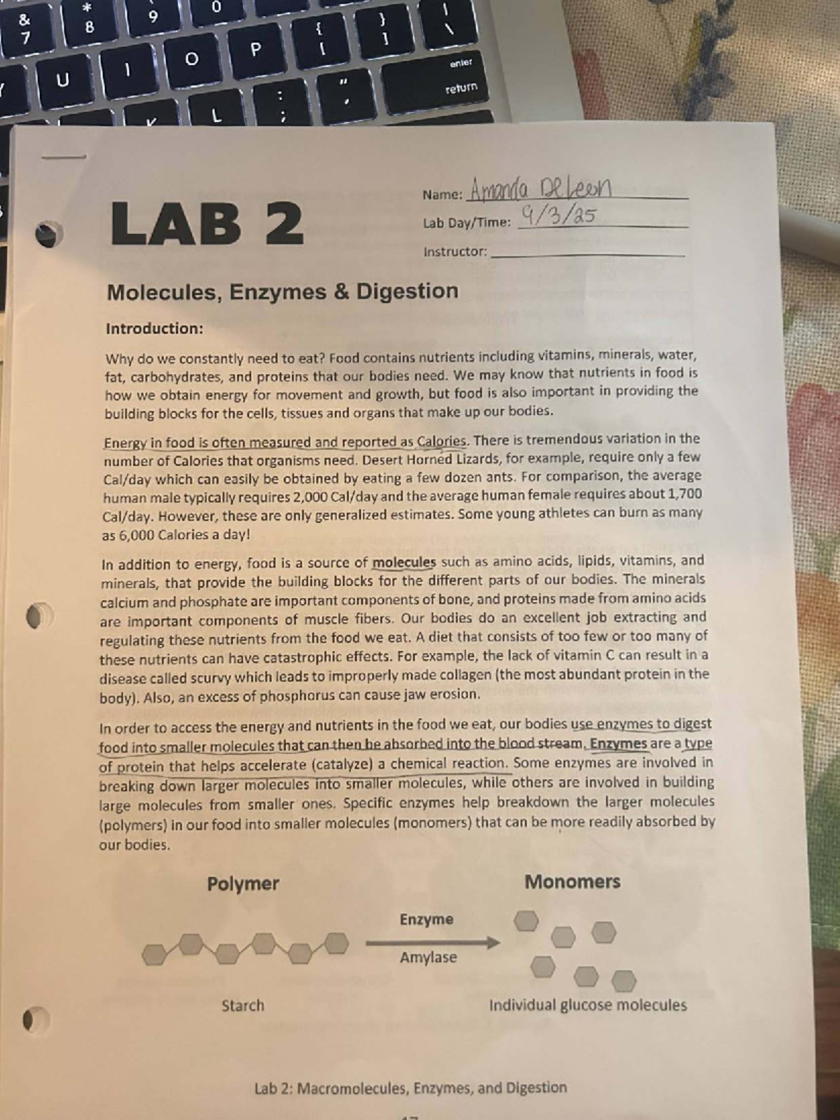 Final Exam Study Guide: ABC123 - Macromolecules & Enzymes - Studocu