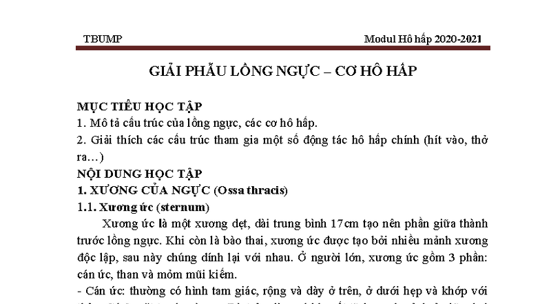 TBUMP Modul Hô Hấp: Giải Phẫu Lồng Ngực và Cơ Hô Hấp - Studocu