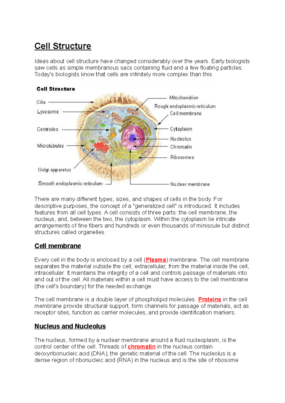 Cell Structure and Function Notes: Understanding Cells and Tissues ...