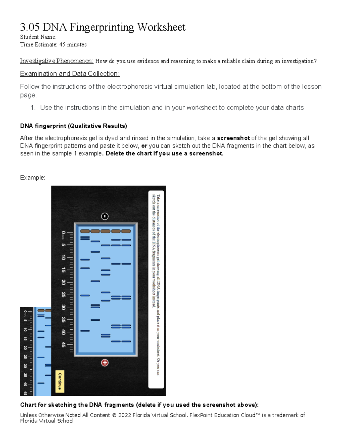 Dna Fingerprint Worksheet DNA Fingerprinting Definition, Steps,