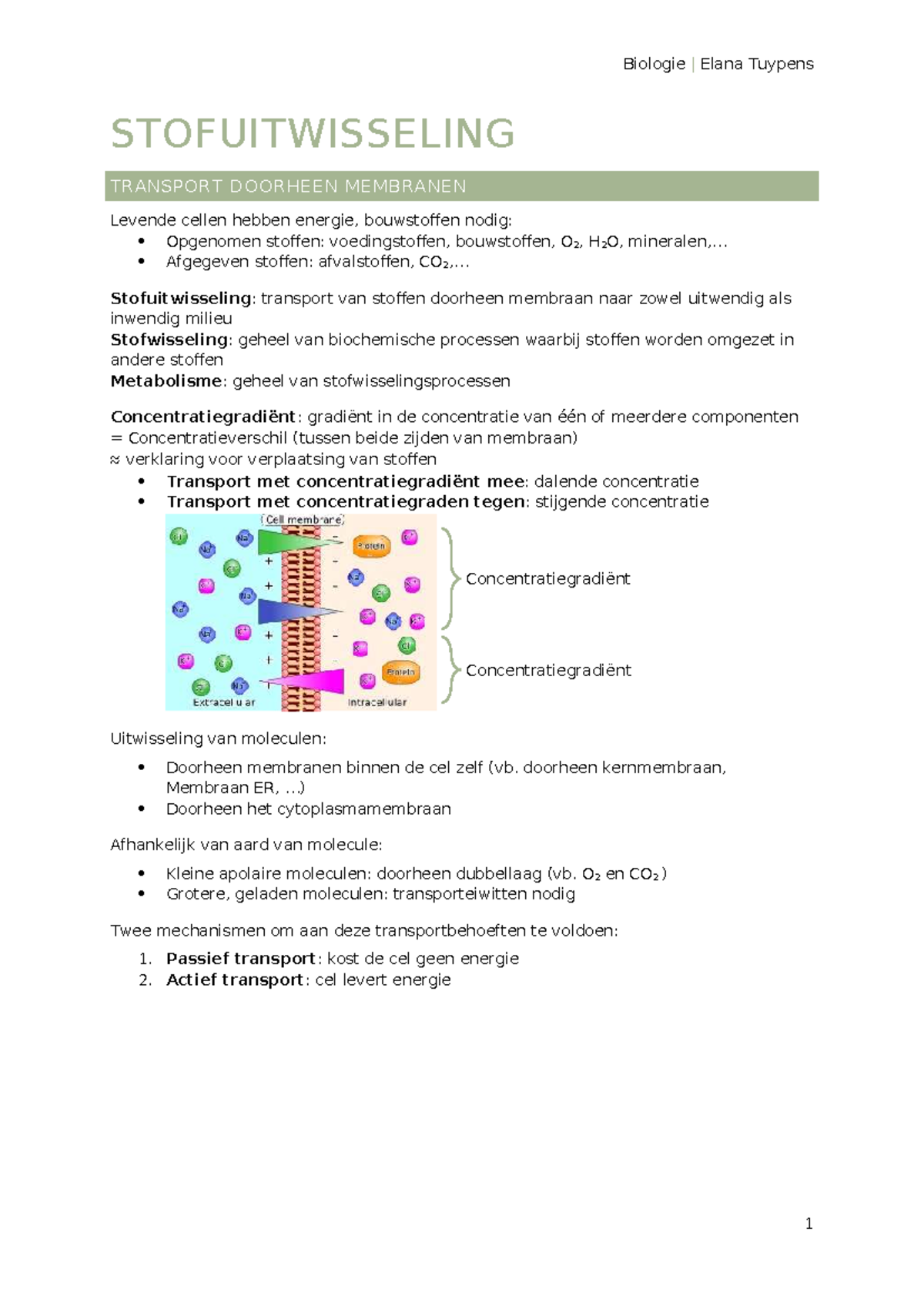 5.2 biologie - stofuitwisseling - STOFUITWISSELING TRANSPORT DOORHEEN ...