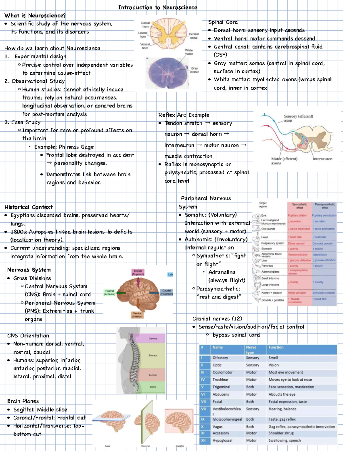 Neural Mechanisms of Electrical & Chemical Signaling in Neuroscience ...