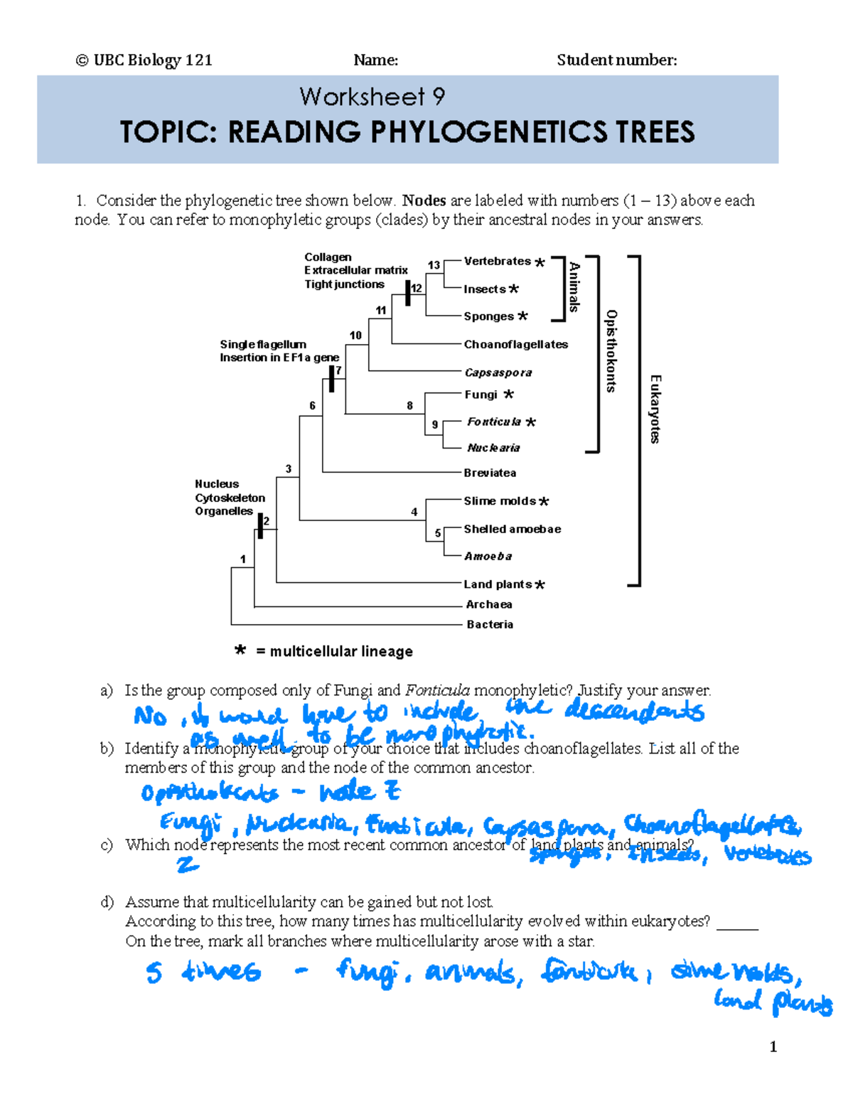 Worksheet #9 - Reading Phylogenetic Trees - © UBC Biology 121 Name ...