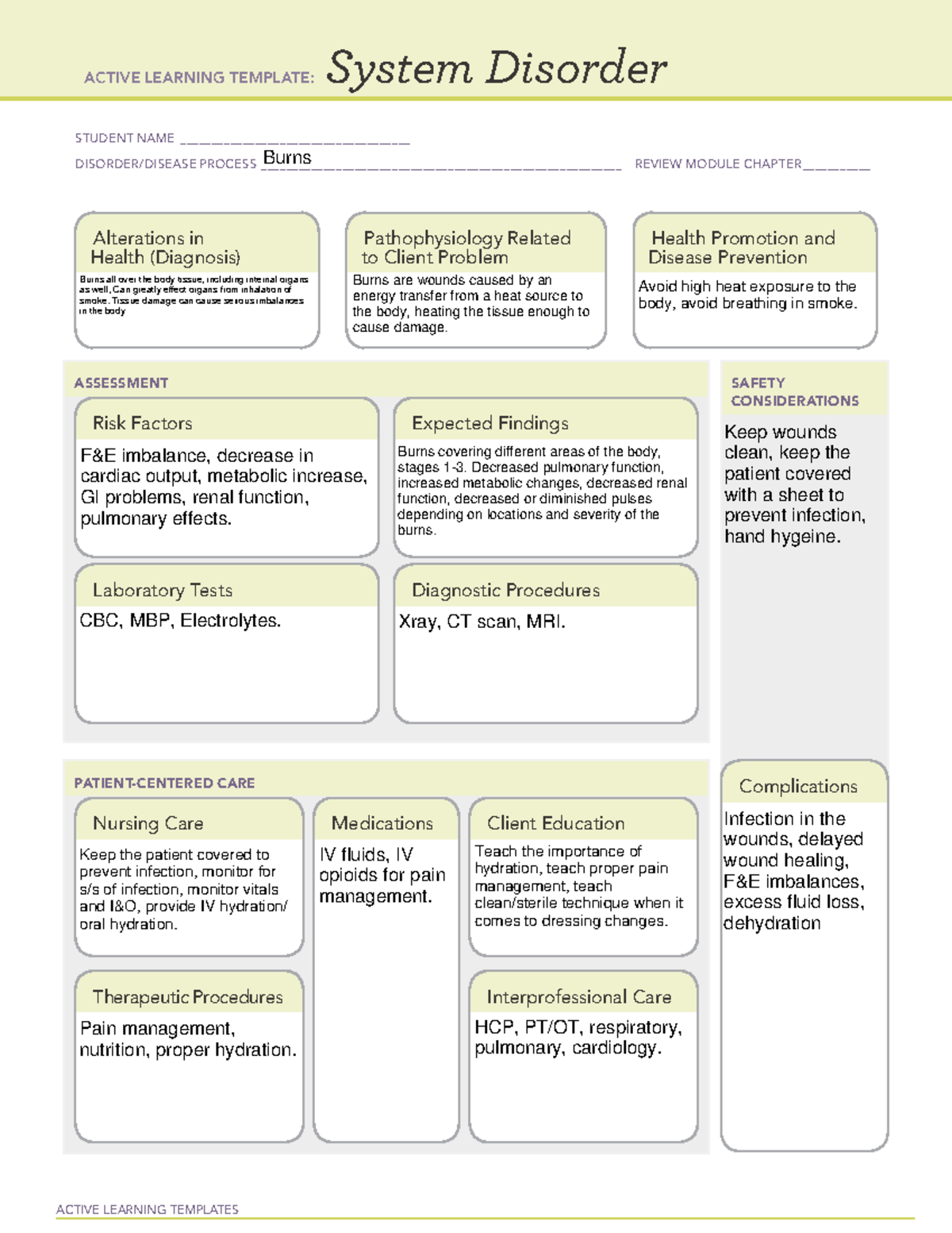 Burns ATI Active Learning Template: Patient Care & Assessments - Studocu