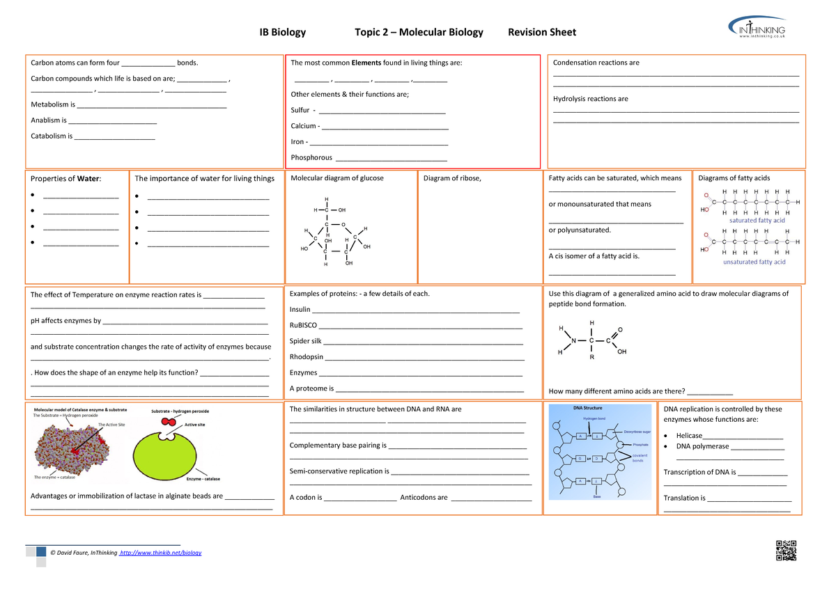 02 Molecular Biology A3 Revision Sheet - Key Concepts and Reactions ...
