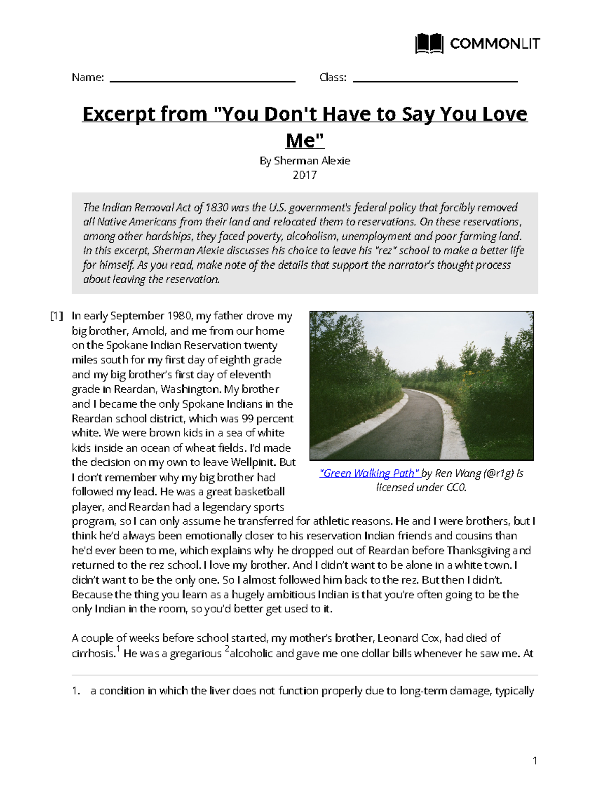 Sherman Alexie's "You Don't Have to Say You Love Me" - Analysis ...
