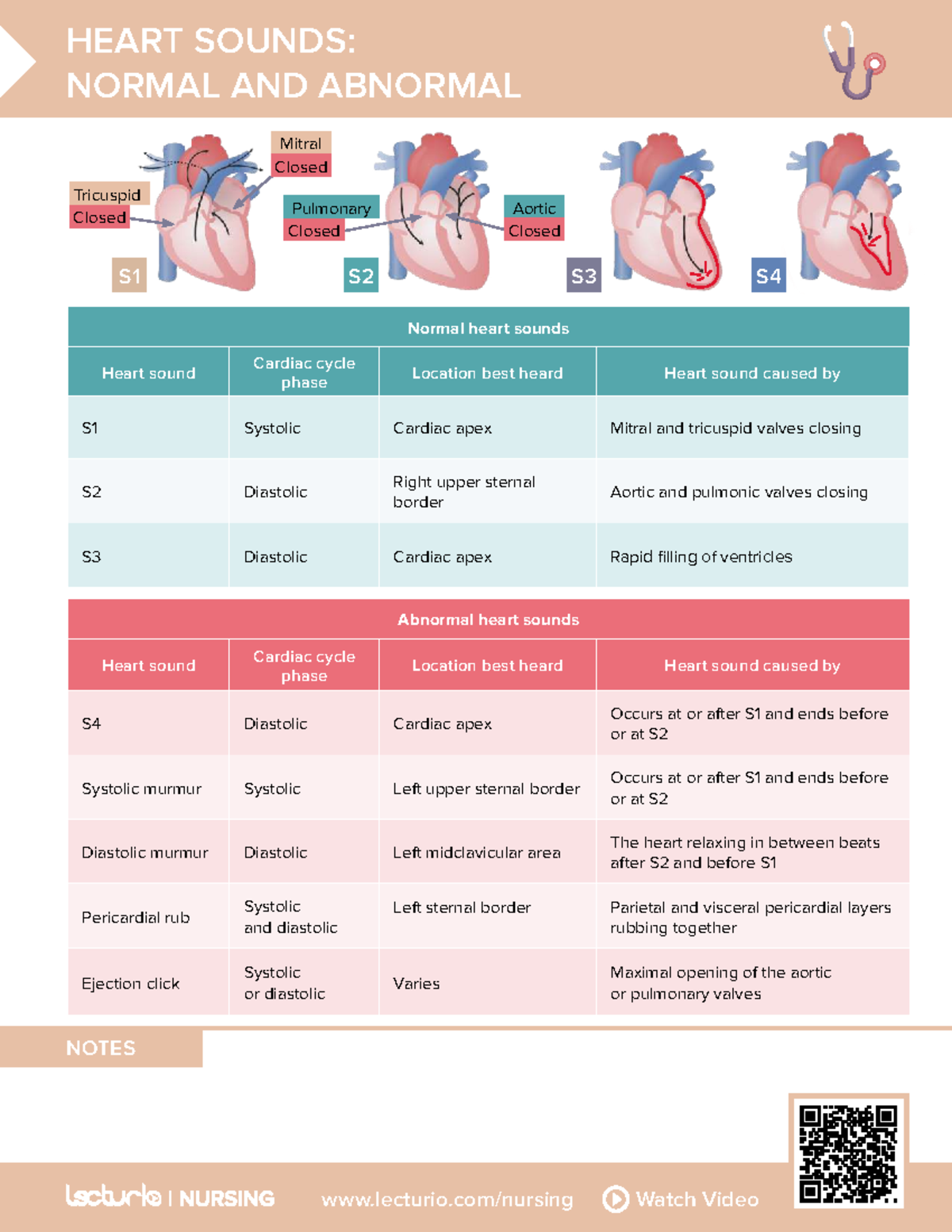 Nursing CS: Heart Sounds - Normal & Abnormal Overview and Notes - Studocu