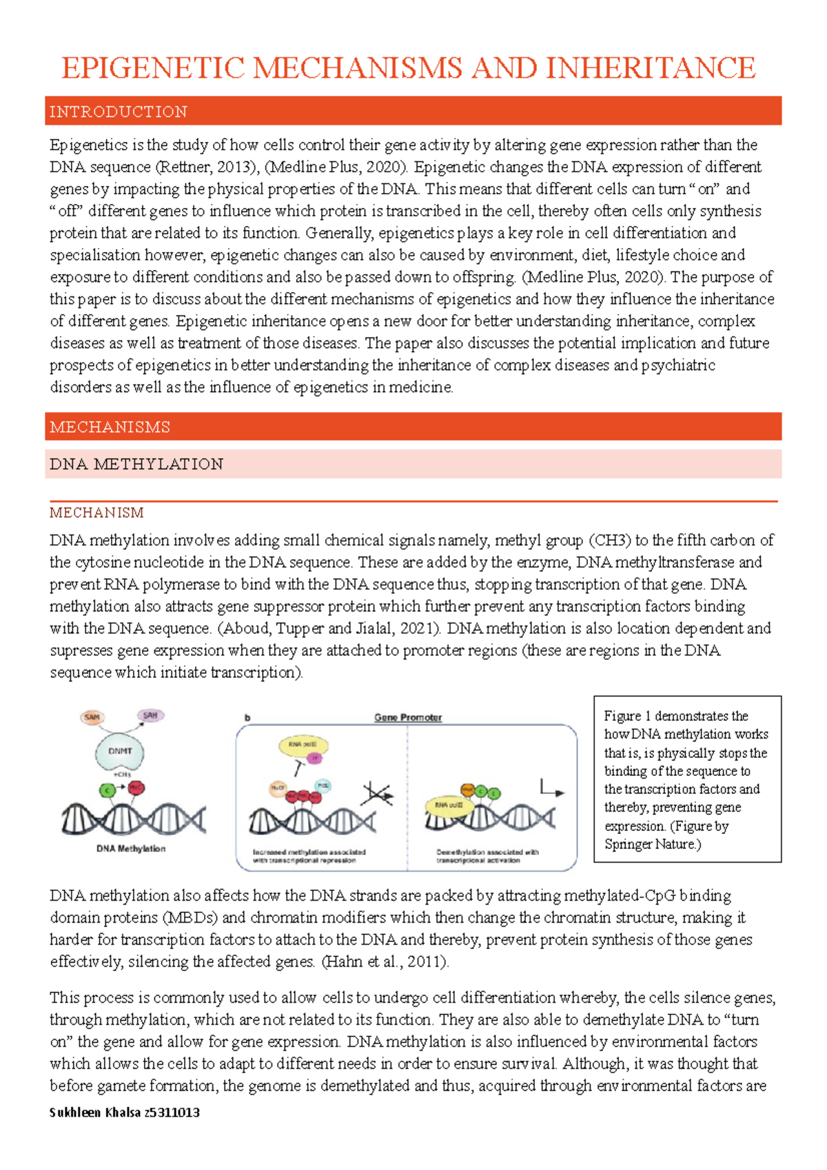 Literature Review - EPIGENETIC MECHANISMS AND INHERITANCE INTRODUCTION ...