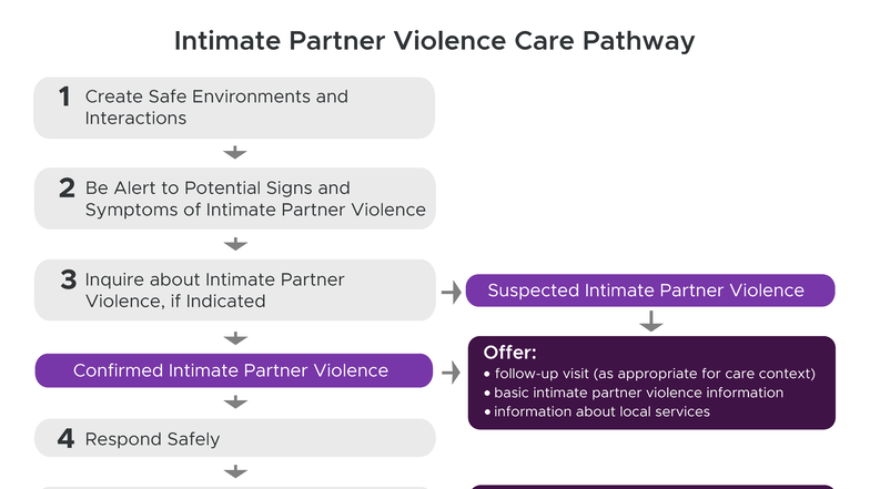 Intimate Partner Violence Care Pathway: Key Steps and Strategies - Studocu