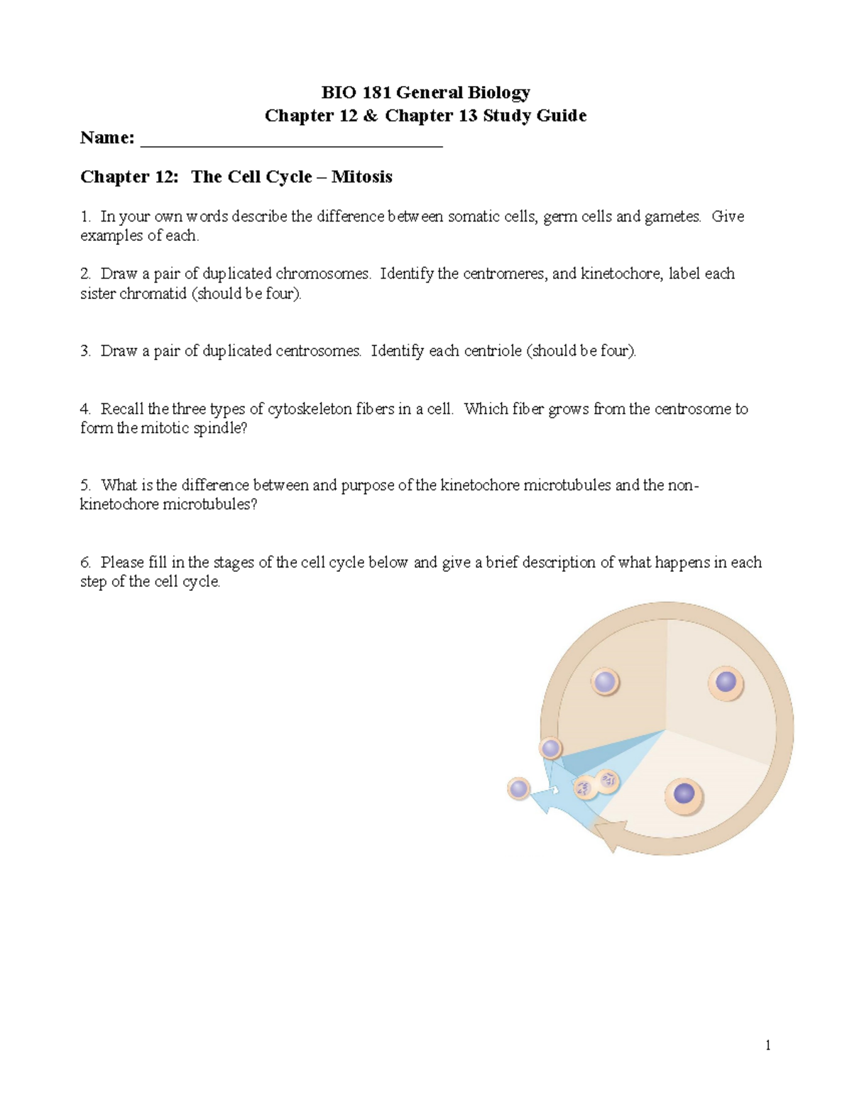 Chapt 12 and 13 Study Guide F23 - BIO 181 General Biology Chapter 12 ...