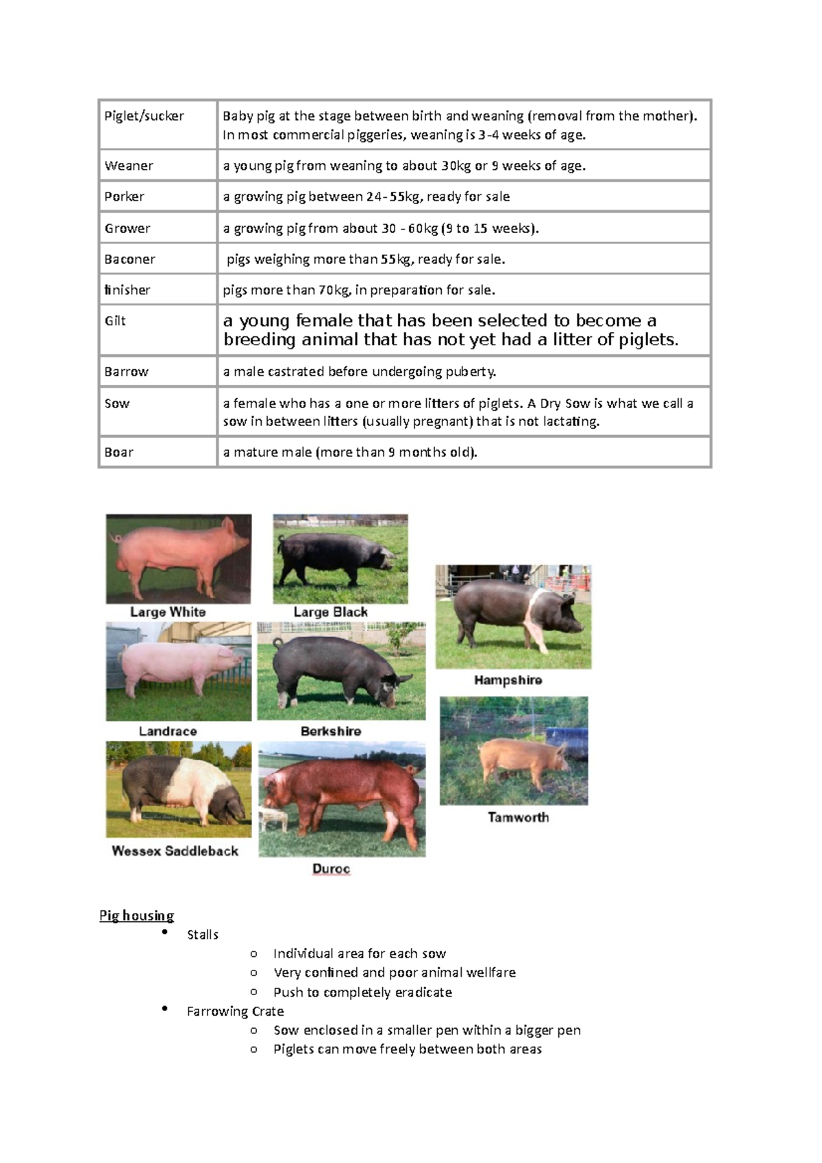 Pig Terminology: Understanding Key Terms in Pig Farming Practices - Studocu