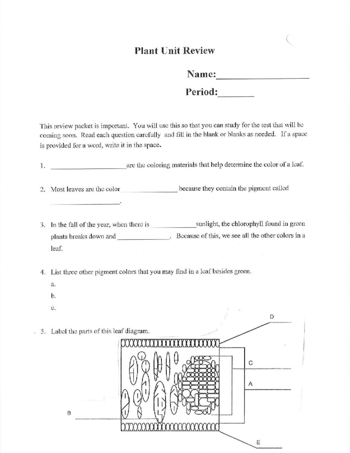 Plant Unit Review: Key Insights for Test Preparation - Studocu