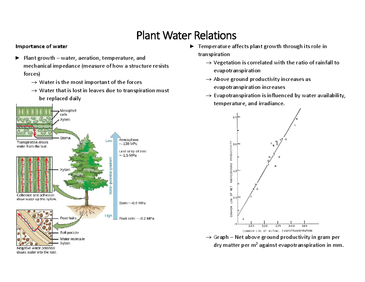 BOT 356 Final Exam Notes: Water Relations and Plant Growth - Studocu