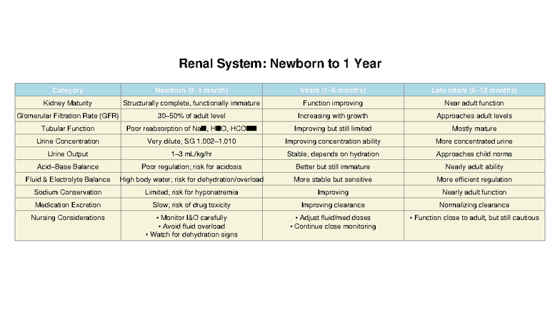 Renal System Development: Newborn to 1 Year Insights - Studocu