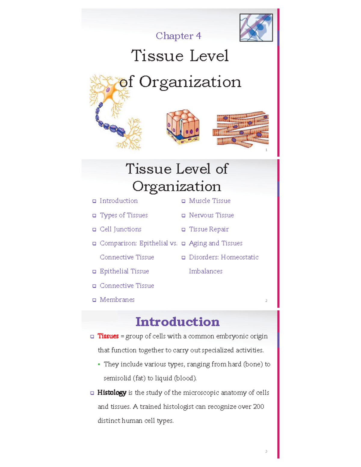 Tissue Level of Organization - Chapter Notes (BIO 141) - Studocu
