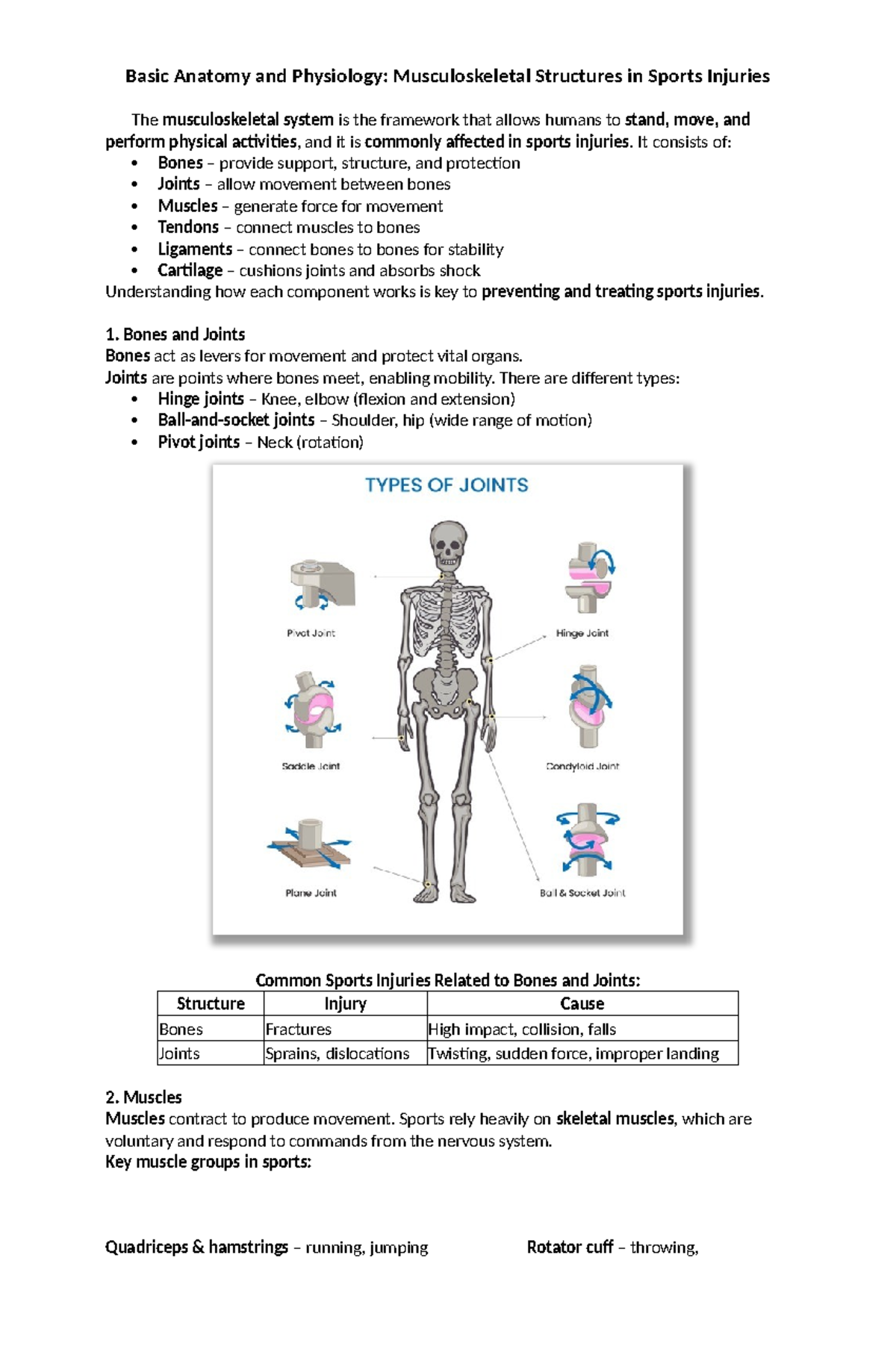 Basic Anatomy & Physiology: Musculoskeletal Structures in Sports ...