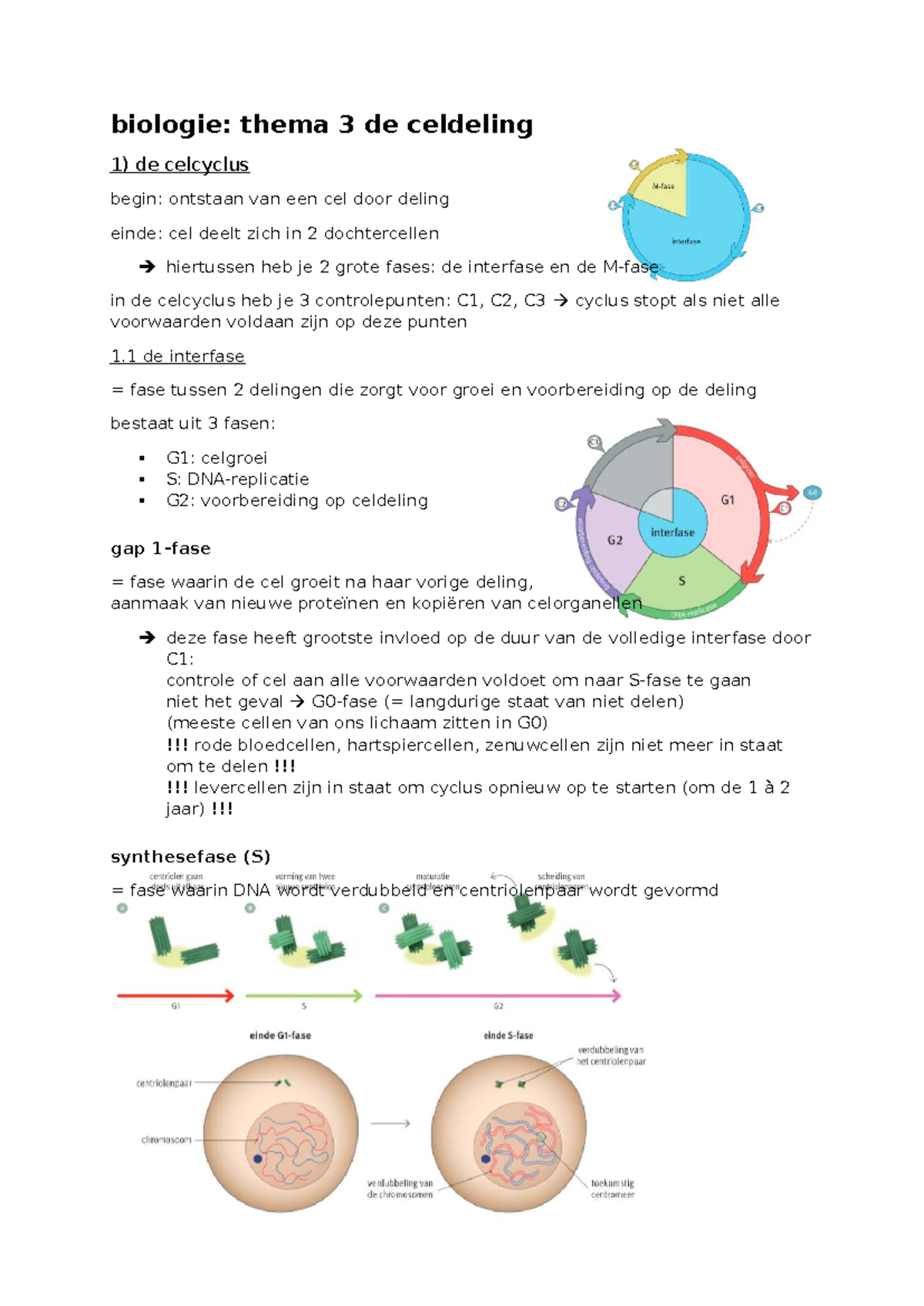 Biologie: Samenvatting Thema 3 - De Celdeling en Celcyclus - Studocu