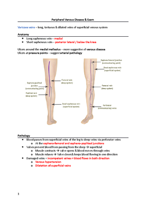 Clinical Core Tutorial - PR Bleeding - Surgery – CTT 3 - PR Bleeding ...