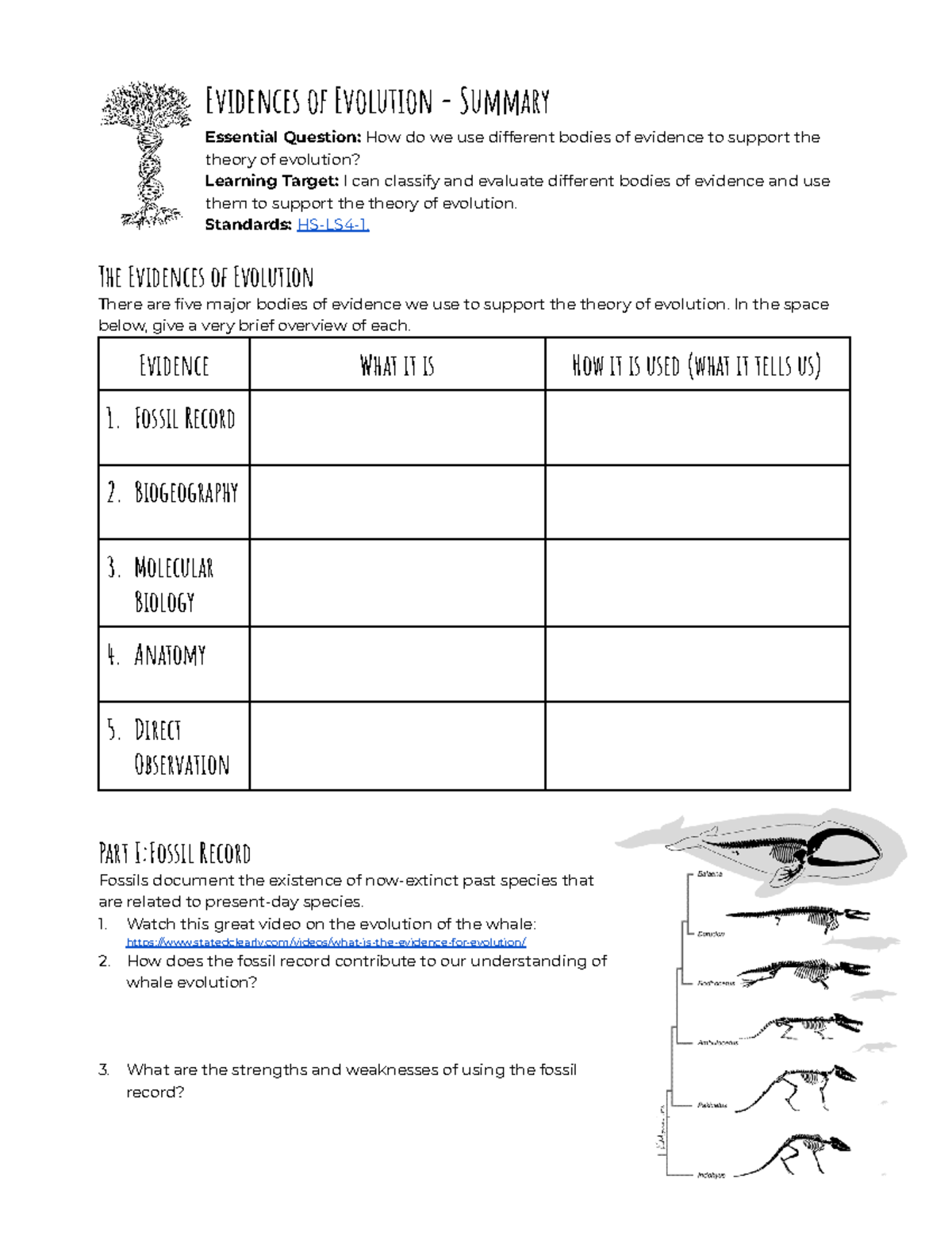 Evidences+of+Evolution+Packet+ - Evidences of Evolution - Summary ...