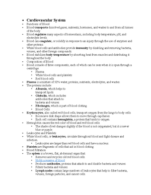 Cardiovascular System Heart Study Guide PDF - SPRING 2019 ANATOMY AND ...