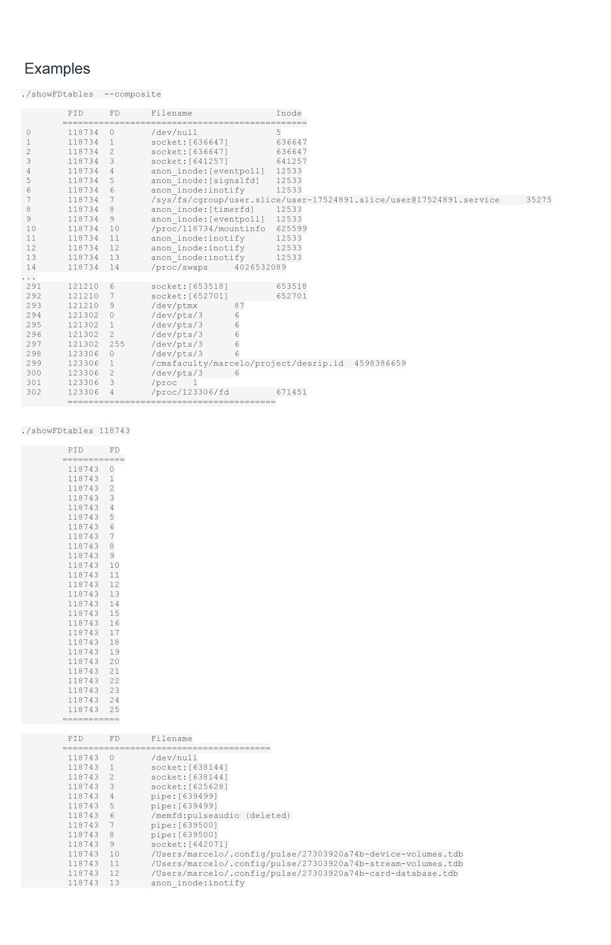 Examples - CS101 Assignment 1: File Descriptor Tables and Output - Studocu