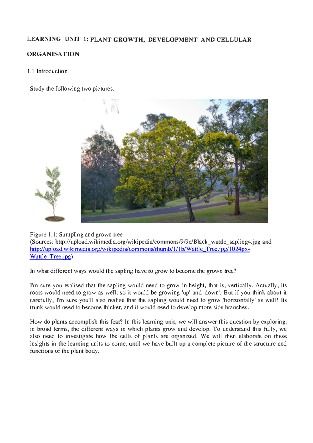BOT2601 Unit 1: Plant Growth, Development, and Cellular Organization ...