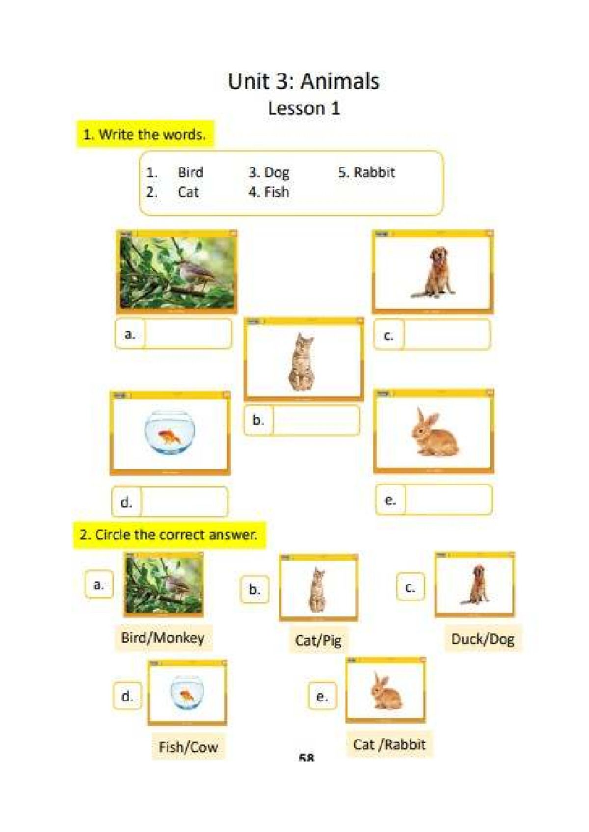 Unit 3: Animals Lesson 1 & 2 Activities and Exercises - Studocu
