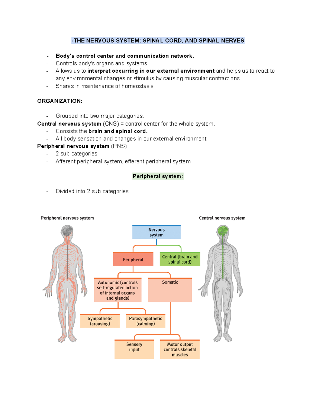 ANPH 1001 Unit 3.1: Overview of the Nervous System and Spinal Cord ...