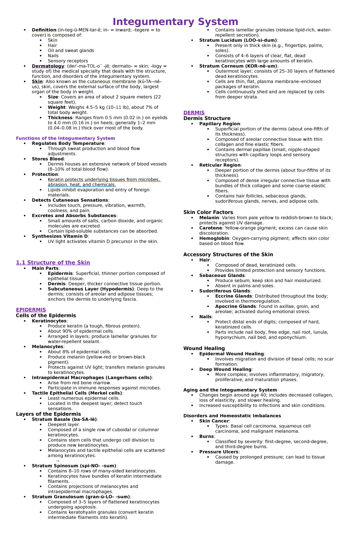 Integumentary System - Unit 2 - Integumentary System Definition:(in-teg ...