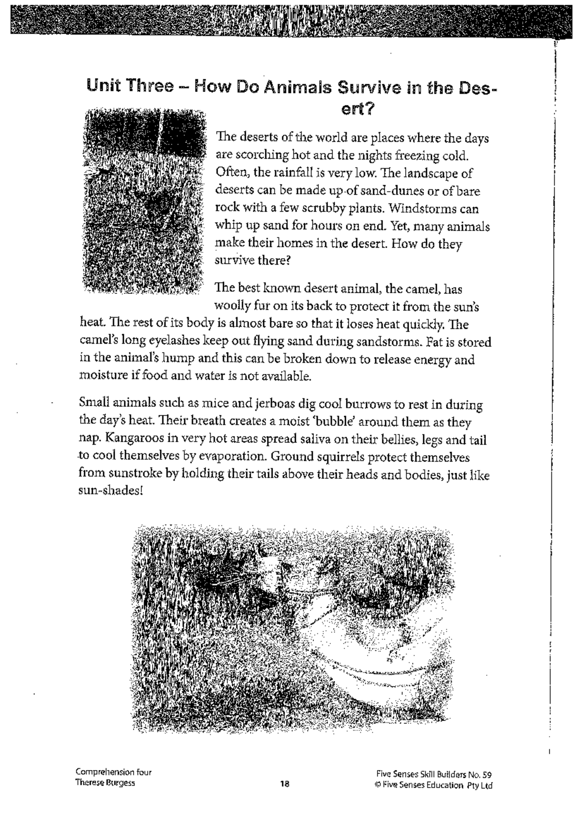 Comprehension Year 5: Unit 3 - How Animals Survive in Deserts - Studocu
