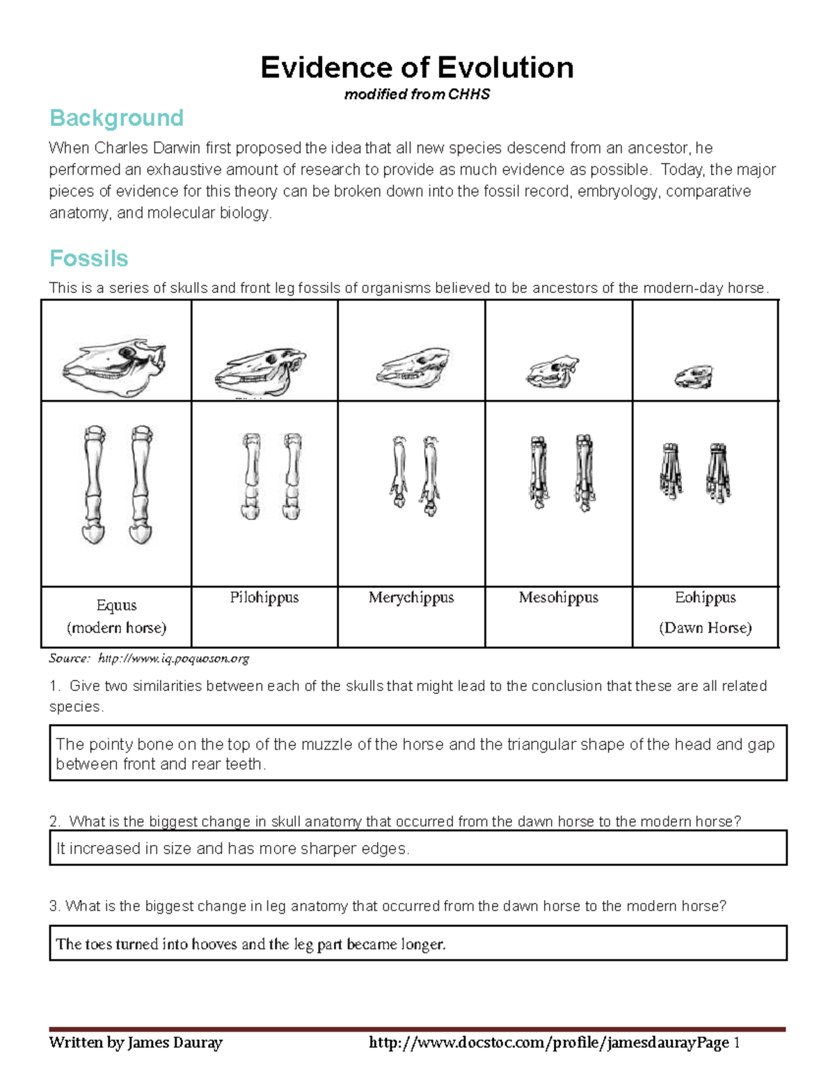 Evidence of Evolution: Fossils, Embryology, and Anatomy Insights - Studocu