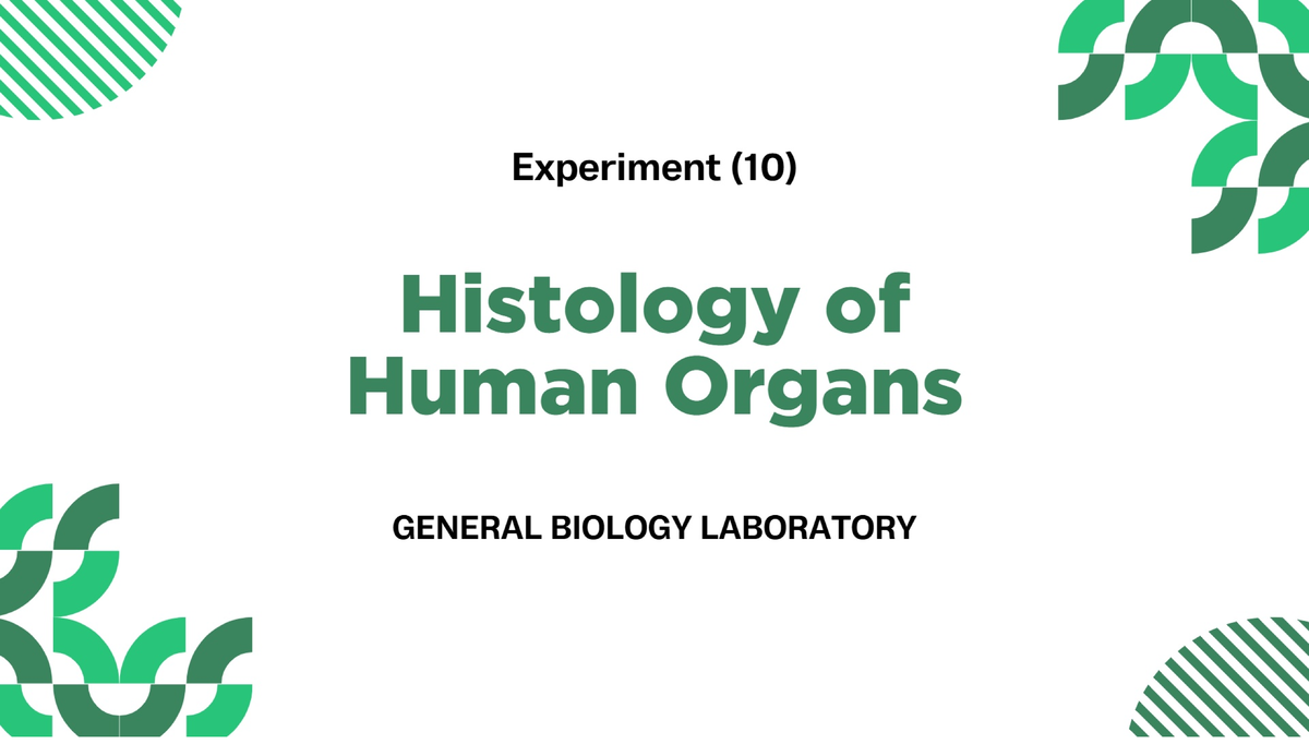 Experiment 10: Histology of Human Organs - Focus on Human Skin and ...